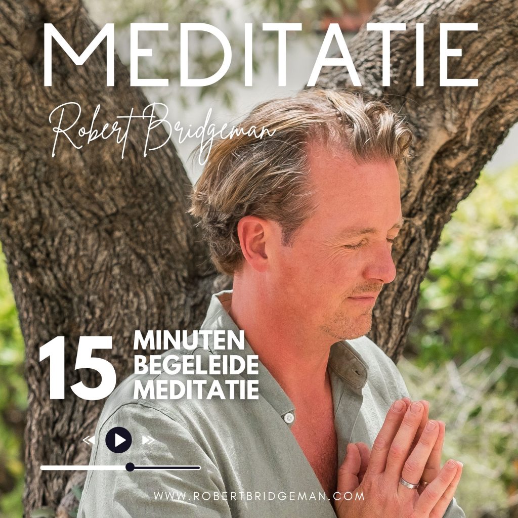 15 minuten begeleide meditatie - Robert Bridgeman