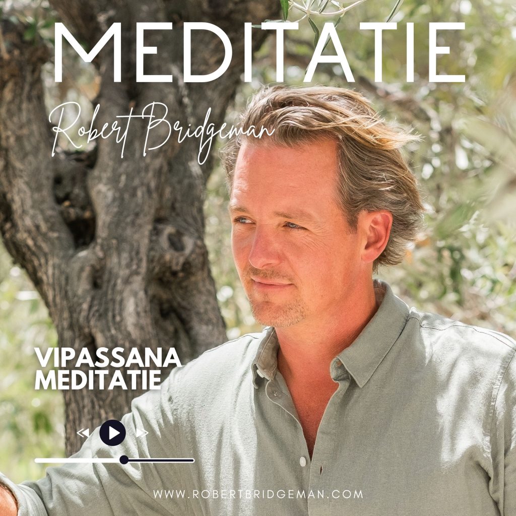 Vipassana meditatie - Robert Bridgeman
